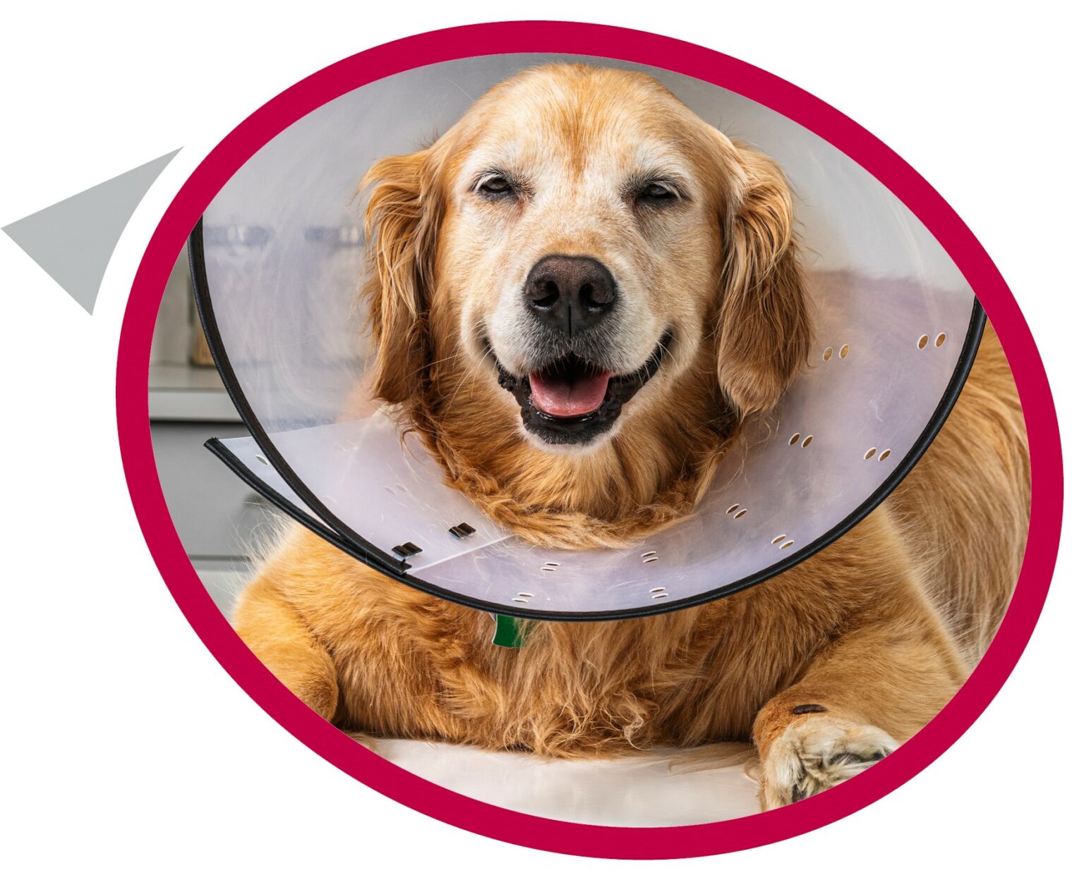 Unsecured Loans - Scotwest